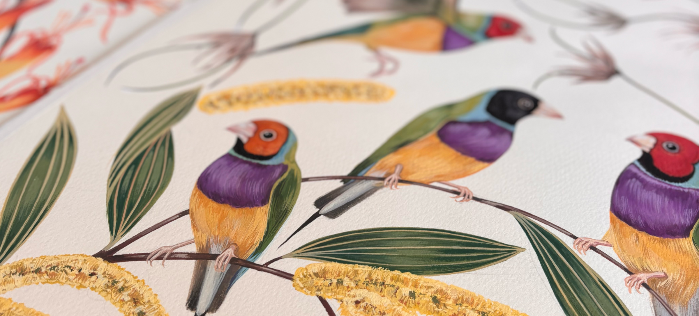 Meet Eloise Short: On Blue Mountain Sunlight, Hand-Painted Birds, and ...