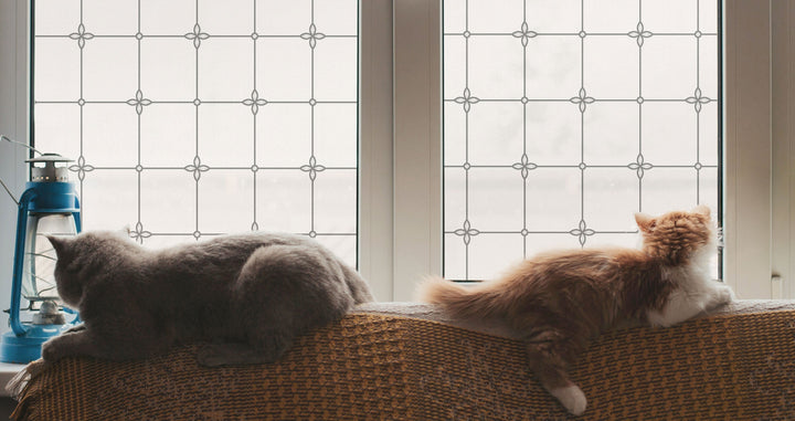 An Introduction to Window Films – Artscape Inc