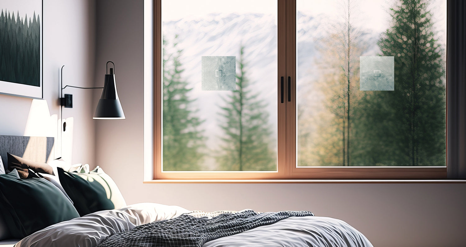 Bird's Eye View – Artscape Inc