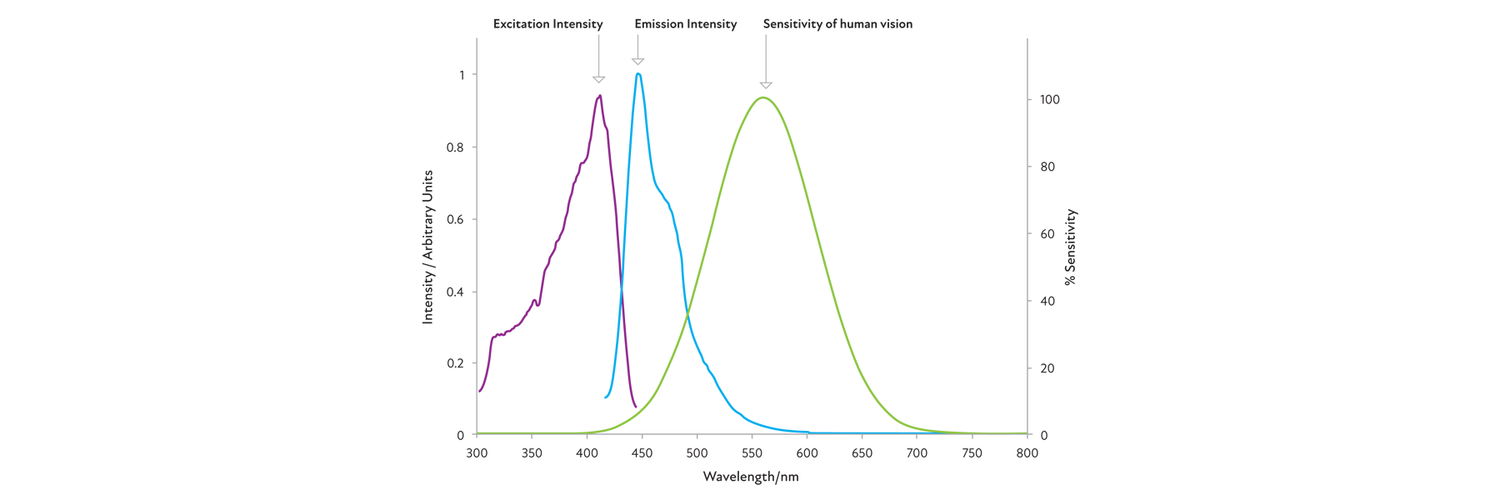 Bird's Eye View – Artscape Inc