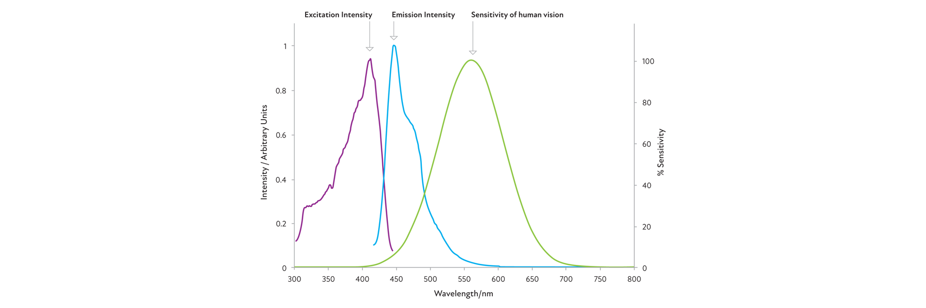 Bird's Eye View – Artscape Inc