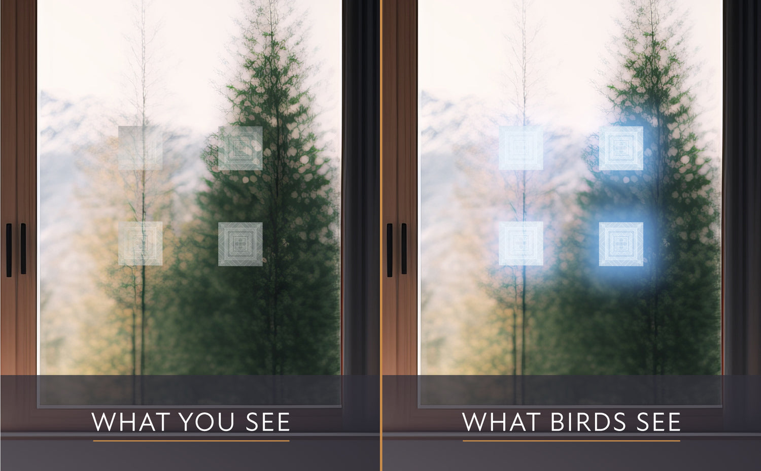 Bird's Eye View – Artscape Inc